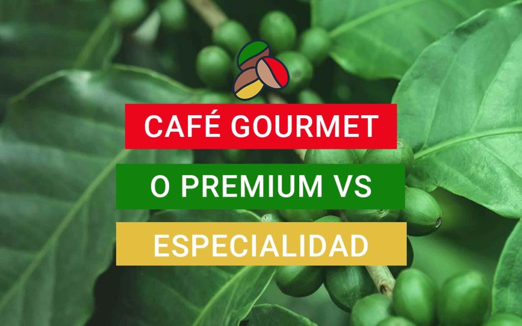 ¿Es lo mismo un café de especialidad que un café gourmet? Diferencias - Café de Especialidad