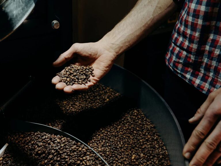 Coffee Roasters, ¿Qué son y hacen los tostadores de café?